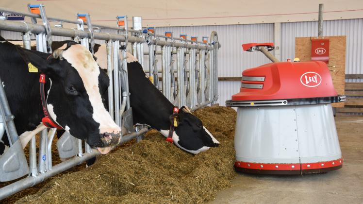 Im Milchvieh-Stall von heute kümmern sich Roboter um die Kühe