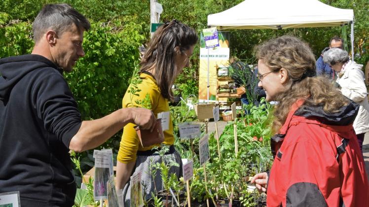 Biologische Vielfalt im Wangeliner Garten | SVZ Biologische Vielfalt im Wangeliner Garten | SVZ