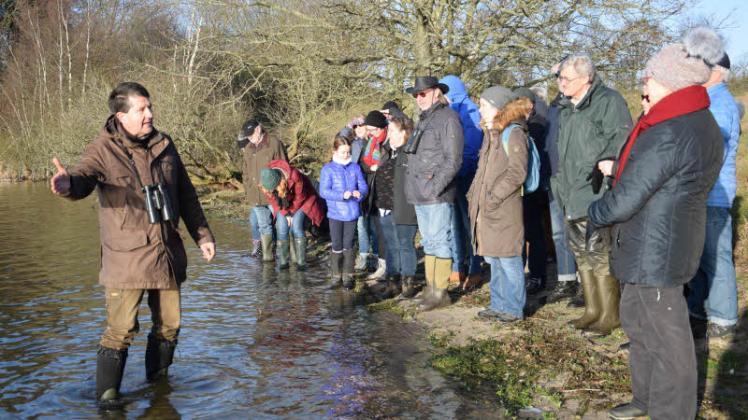 Zu Gast bei Galloways und Strandling am Bültsee in Kosel