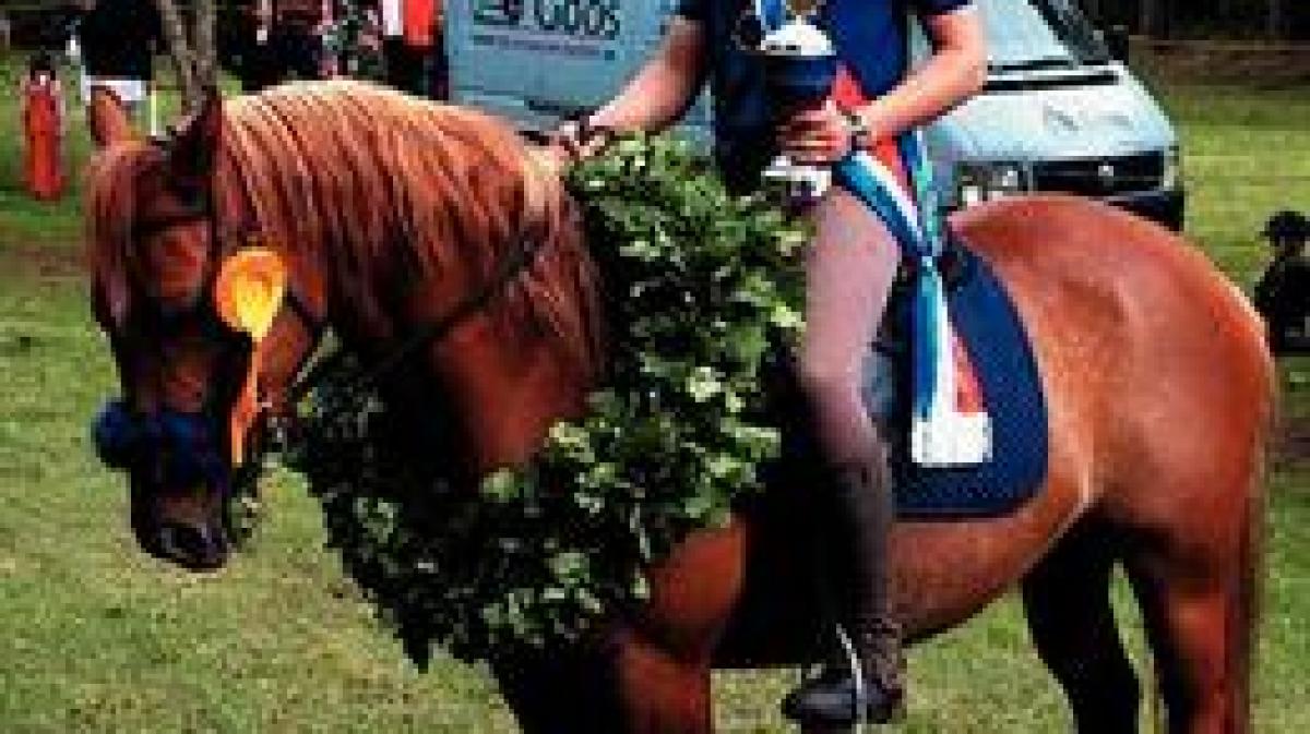 Optimale Bedingungen für Ringreiter