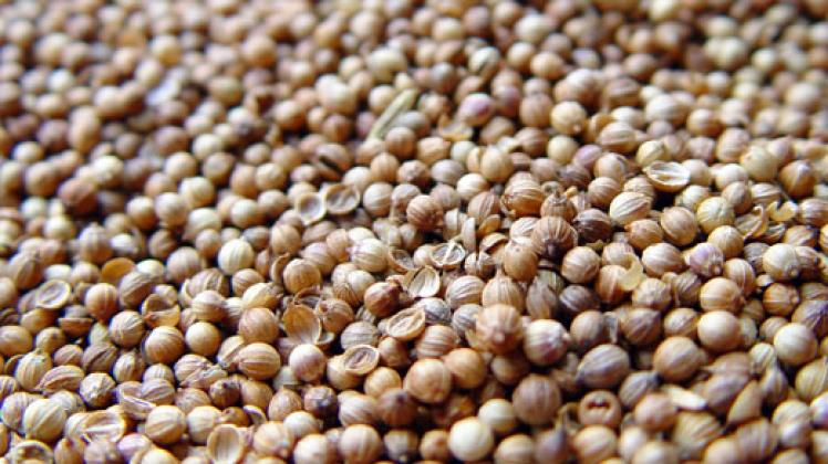 Zwei exotische Alleskönner