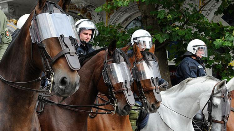 Reiterstaffel wirkt "befriedend"