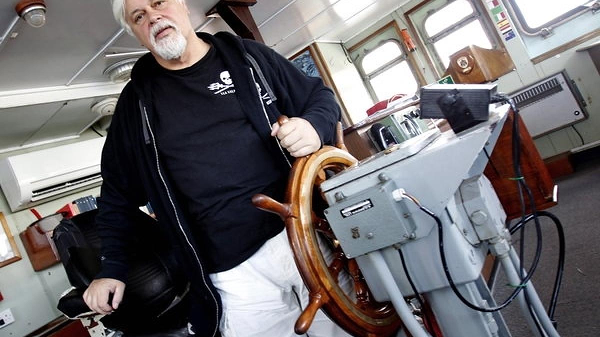 Tierschützer Paul Watson verhaftet | SHZ