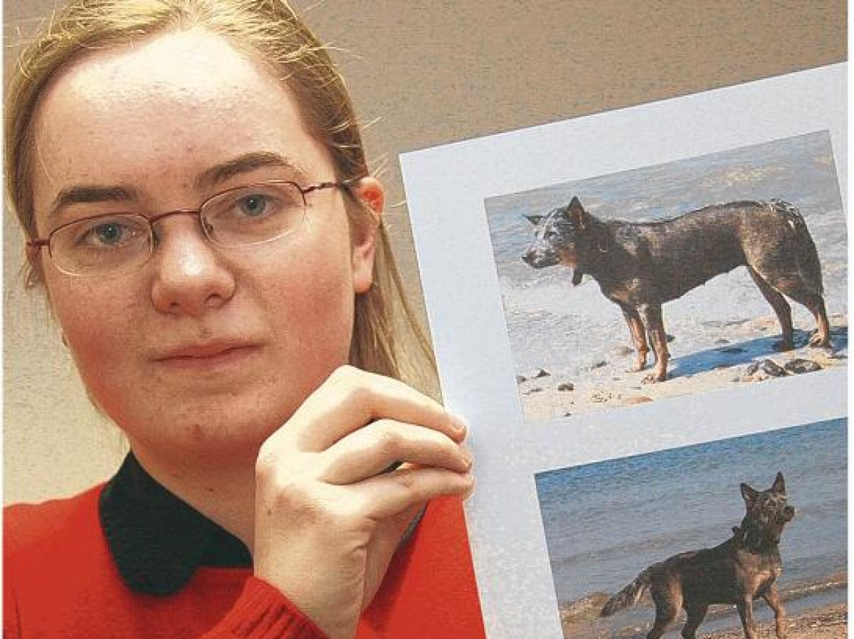 Angela Schulz's Instagram, Twitter & Facebook on IDCrawl