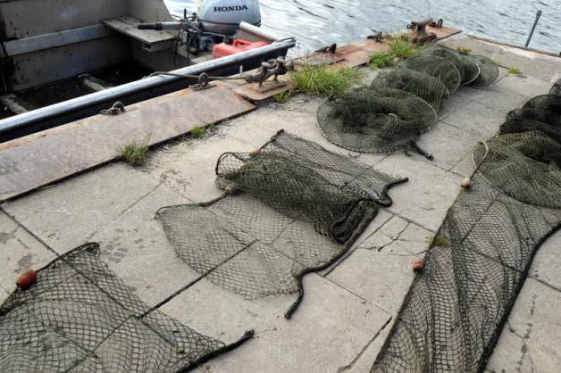 Unbekannte zerstören Reusen: Kanalfischer Thomas Philipson klagt