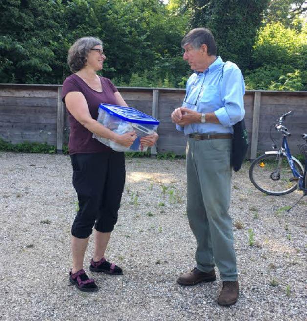 Neue pflegende Hände für lebende Hecke