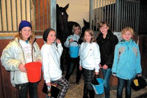 Nachwuchs ist von den Trakehnern begeistert