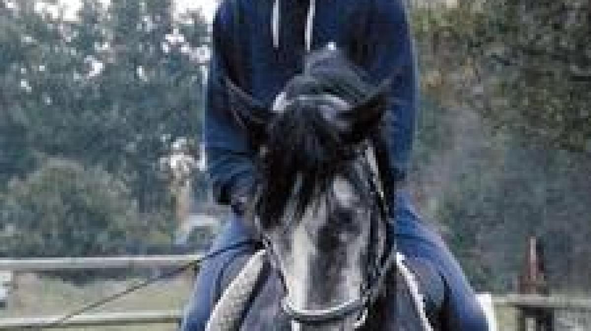 Felix Hauschildt: Mit Rakete und Chass bald beim Grand Prix?