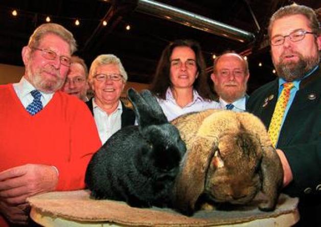 Eine Kaninchenschau der Rekorde