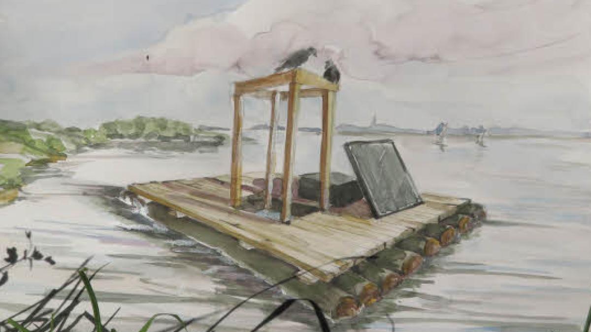 Faulschlamm in der Schlei – Verein will die Entsorgung erforschen