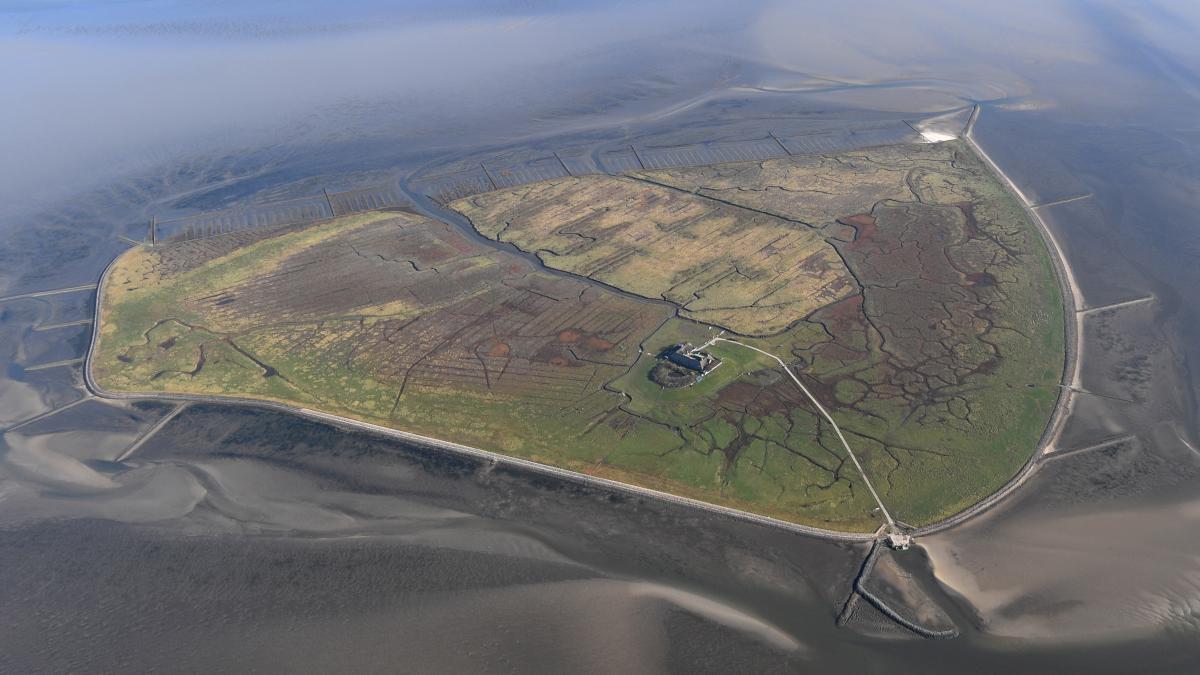 Mit dem Kult-Postboten Knuti durchs Watt: „Jede Tour ist anders“