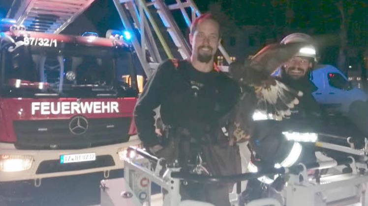 Falke Fiete von Feuerwehr Wilster gerettet