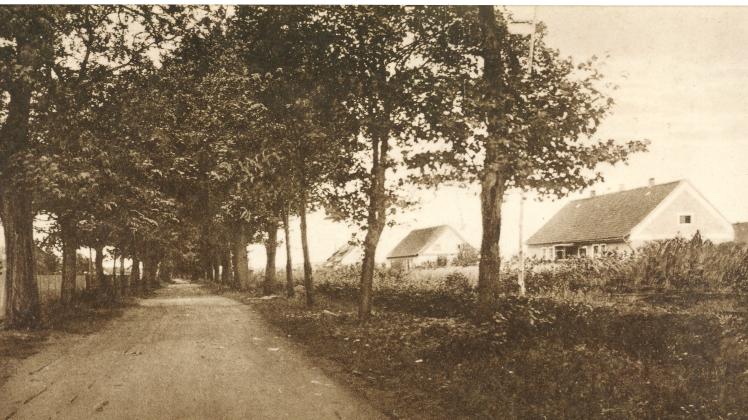 Hobby-Historiker Gerhard Manthei führt durch die Schenefelder Sie