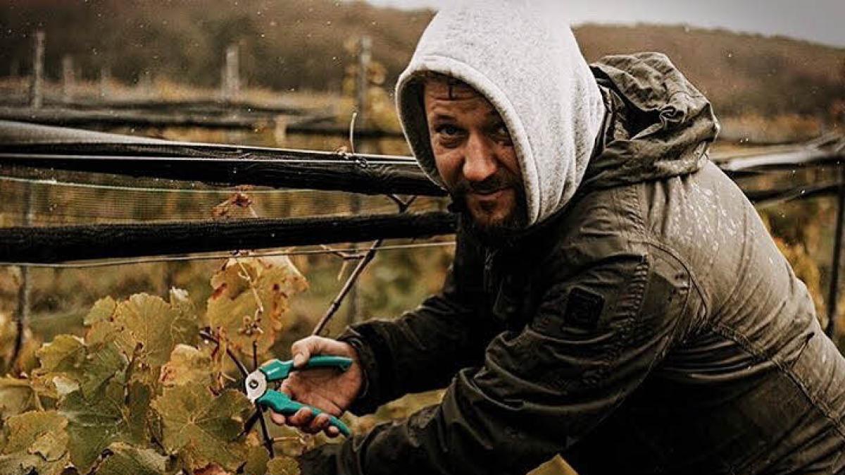 Nils Lackner über die richtige Lagerung von Wein