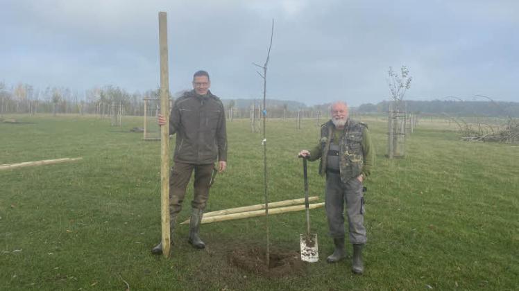 1000 Bäume sollen es auf der Streuobstwiese werden | SHZ
