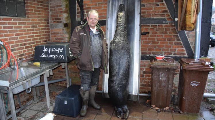 Seehundjäger Peter Klink birgt erste tote Kegelrobbe in diesem Ja