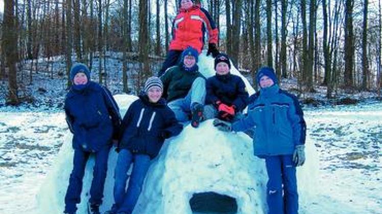 Die stolzen Schneekugelkönige