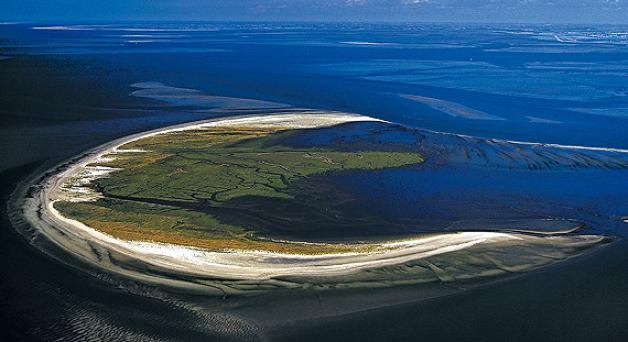 Neue Vogelwartin: Auf nach Trischen!