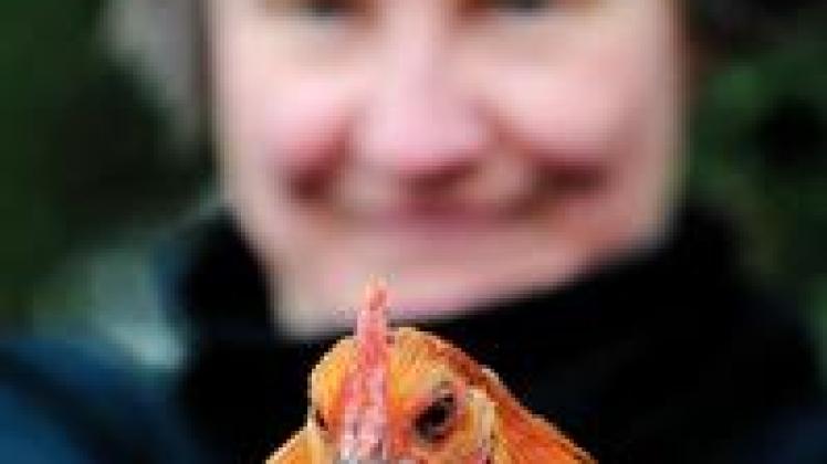 Wildes Huhn - "Tine" liebt die Freiheit