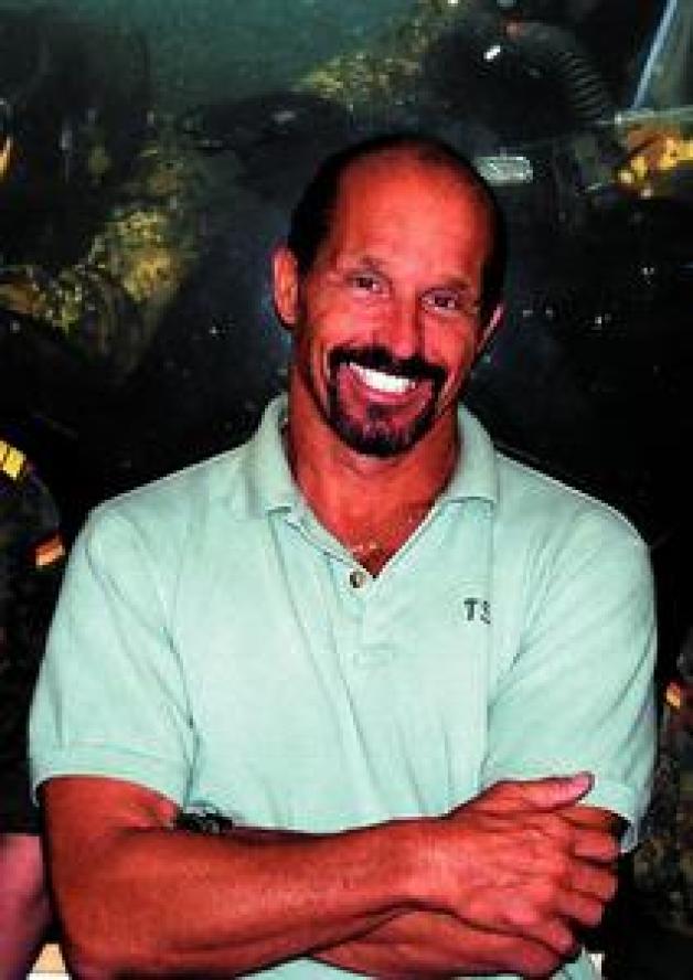 Marinetaucher passen nicht ins Beuteschema der Haie | SHZ