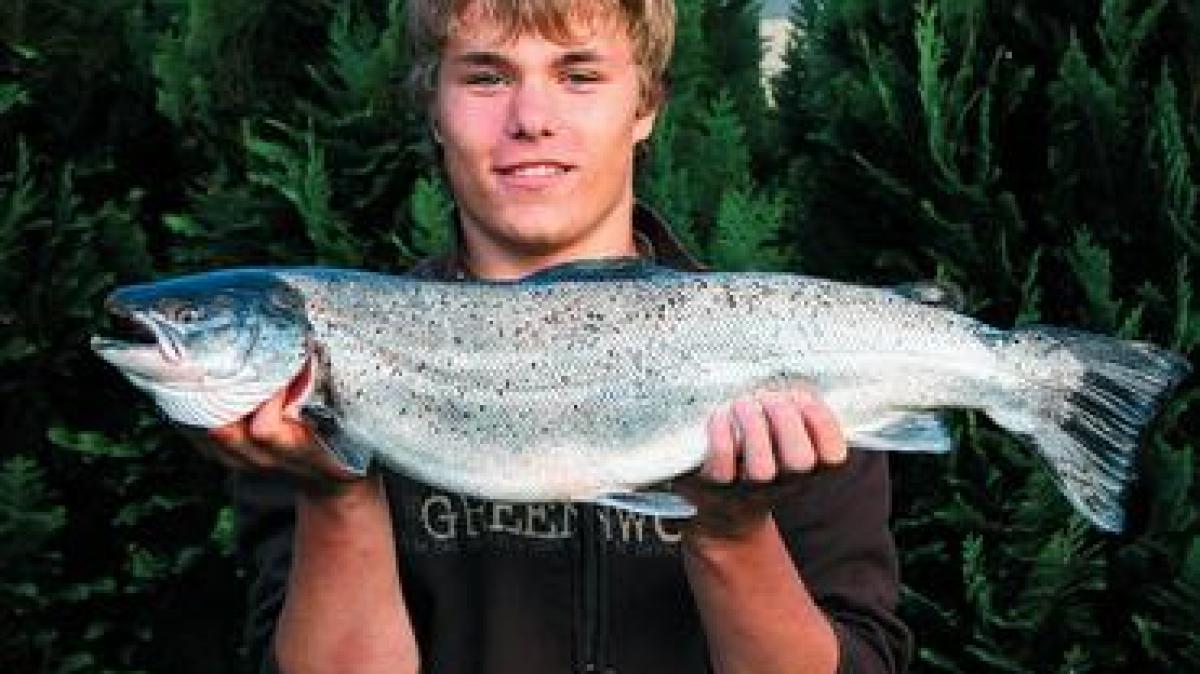 Fisch am Haken