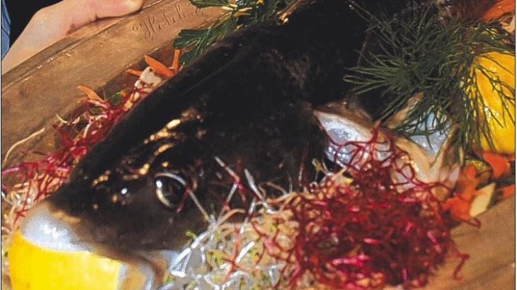 Der Dorsch wurde zur Forelle