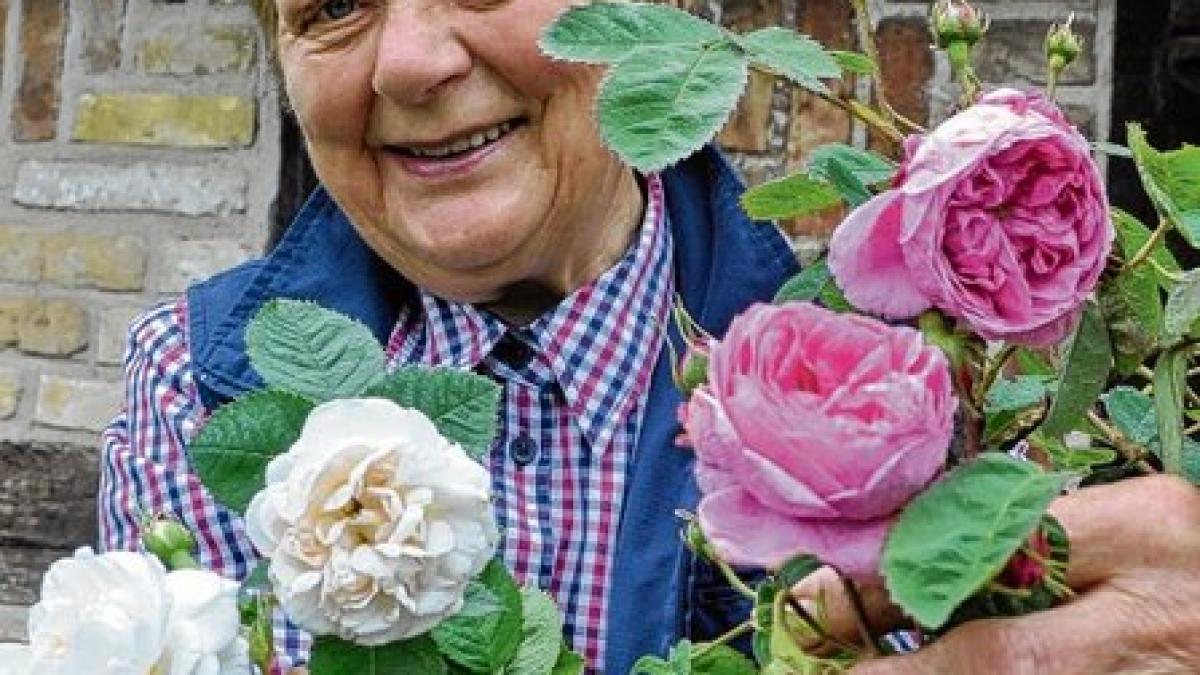 Rosentag auf dem Holländerhof