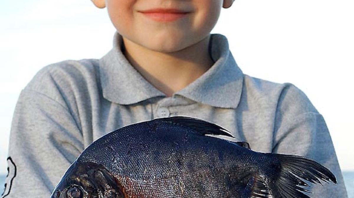 Pacu-Fisch: Bissiger Exot in der Ostsee