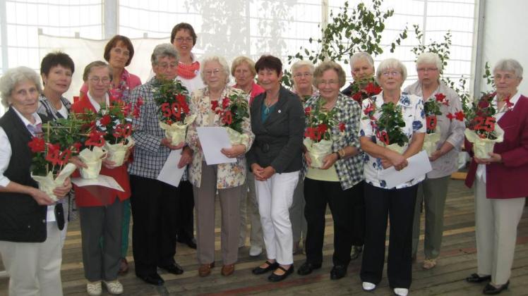 Sie erfüllen das DRK mit Leben