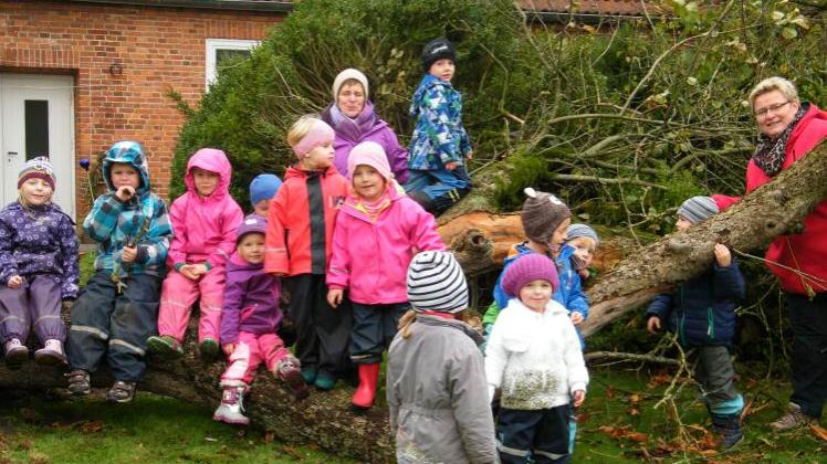 Umgestürzter Baum als Klettergerät