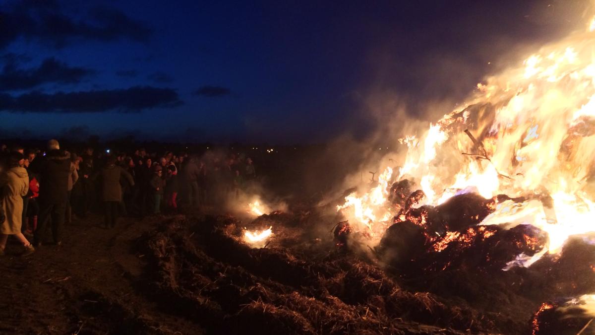 Biikebrennen wird Kulturerbe