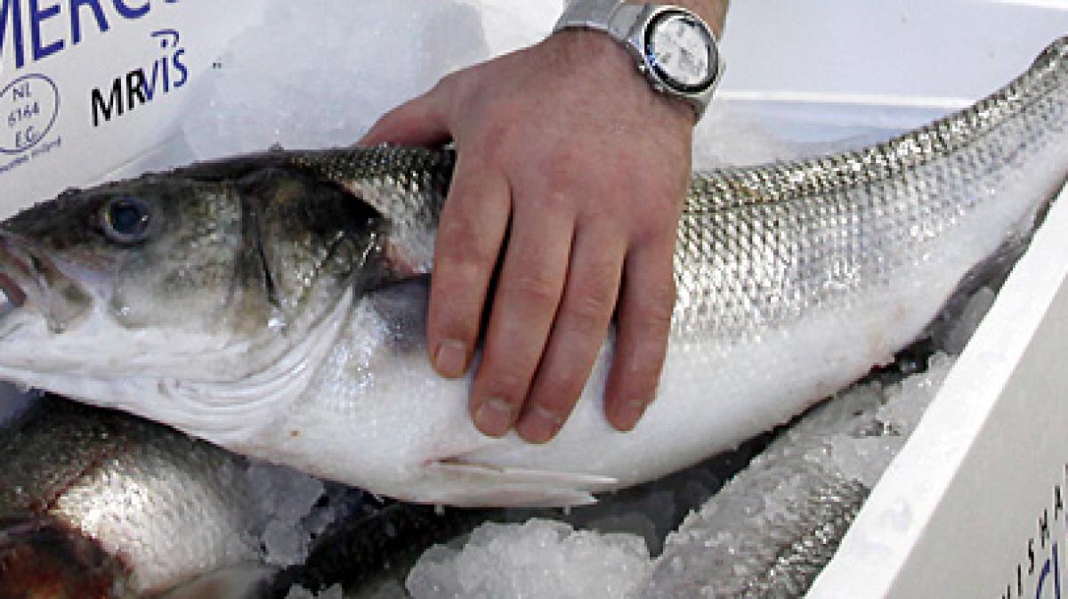 Fisch wird teurer - Kunden greifen trotzdem zu | SHZ