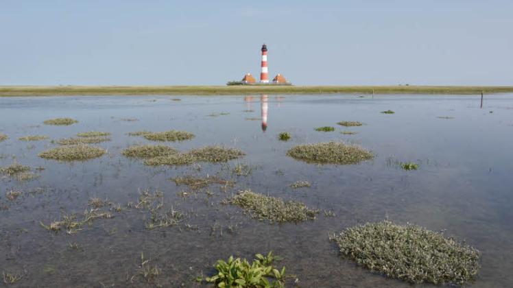 WWF-Vortrag: „Wachsen mit dem Meer“