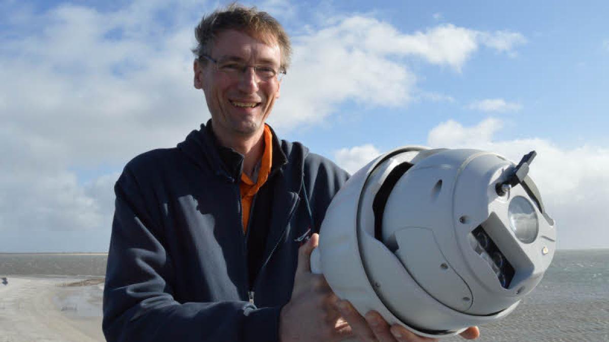 Seehund-Kamera erreicht Sylt