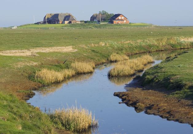 Die Königstour im Wattenmeer