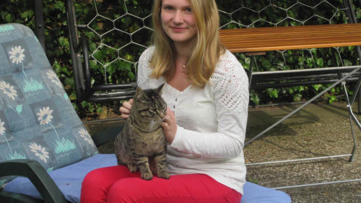 Wie kam Kater „Benjamin“ über den Kanal? | SHZ