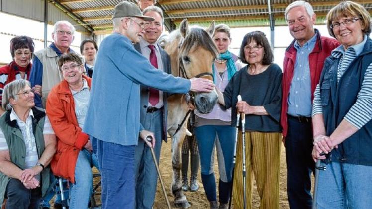 Das Pferd ist der Therapeut