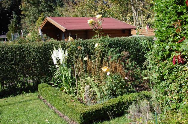 Niebülls Kleingärtner in Sorge