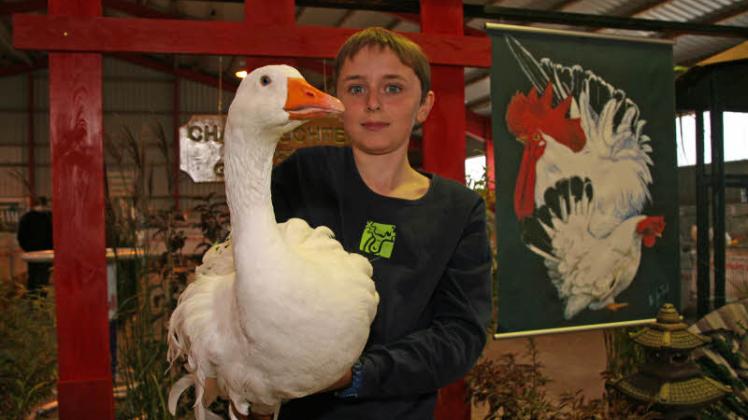 Vom Kleinhuhn bis zur größten Gans | SHZ