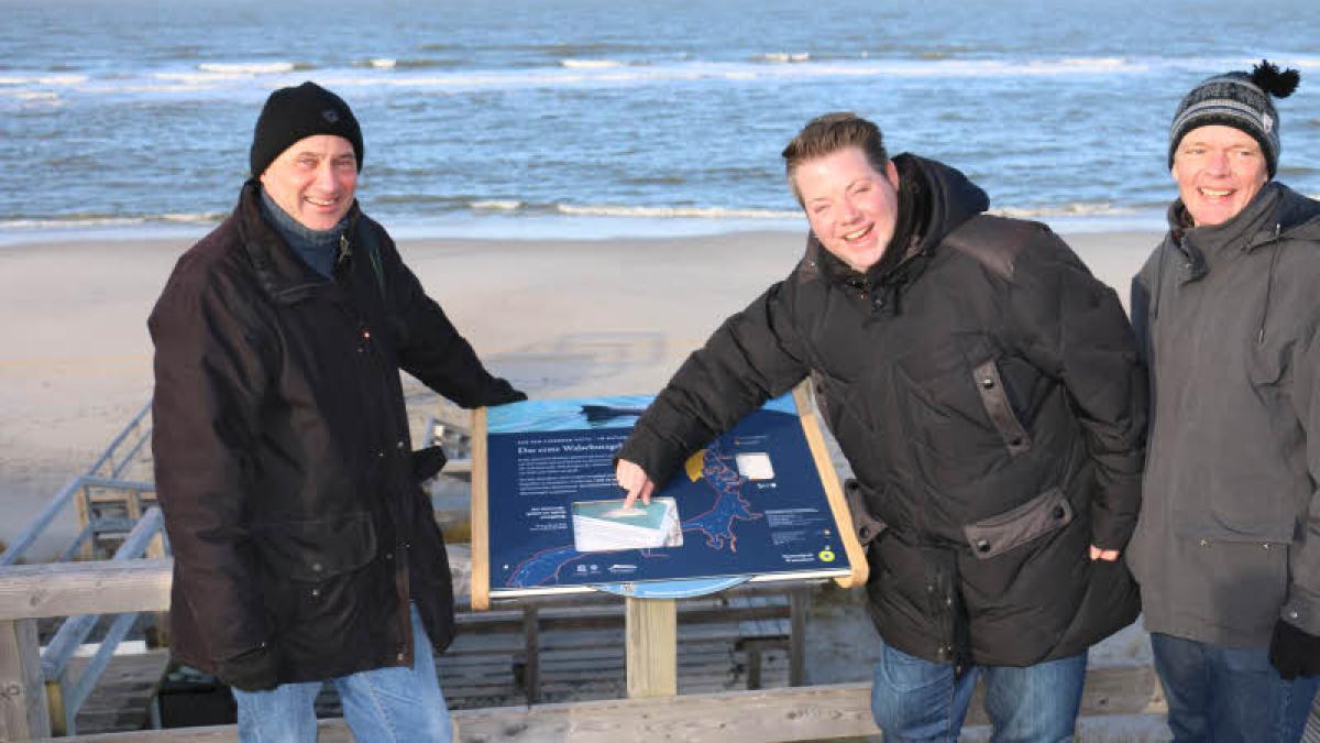 Infos über die Wale vor Sylt