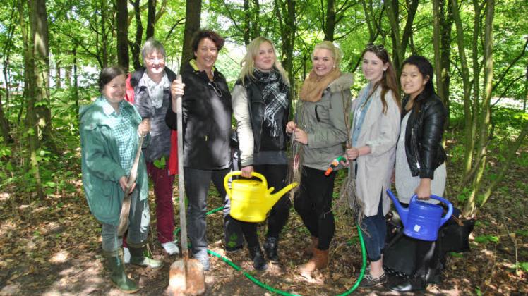 Verjüngungskur für den Schulwald