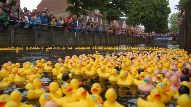 Auf die Enten, fertig, los!