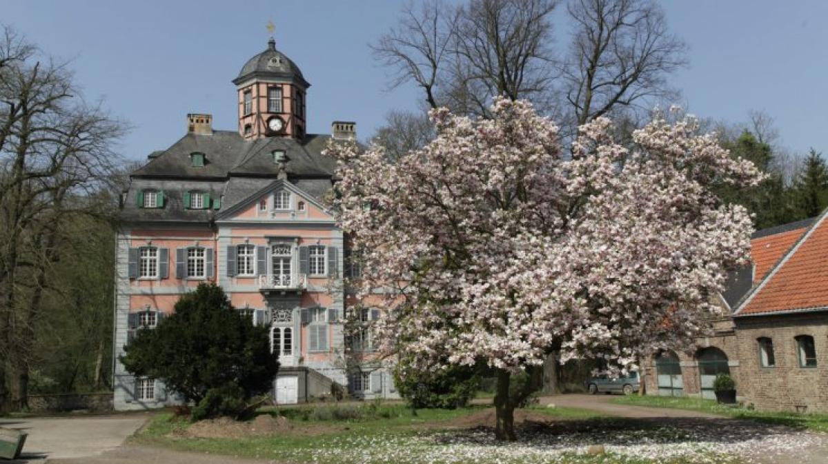 Harener Familie kauft Schloss bei Harener Familie kauft Schloss bei