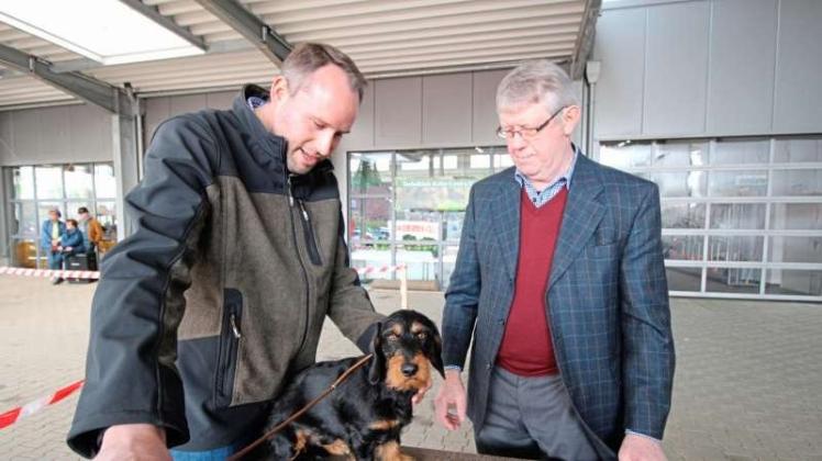 Teckelklub veranstaltet in Wallenhorst