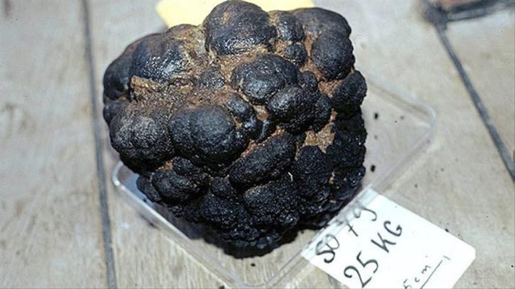 Deutschland will Forschungslizenz zum Abbau von Mangan in der