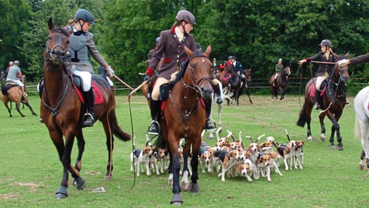 Meller Reitjagd mit einigen