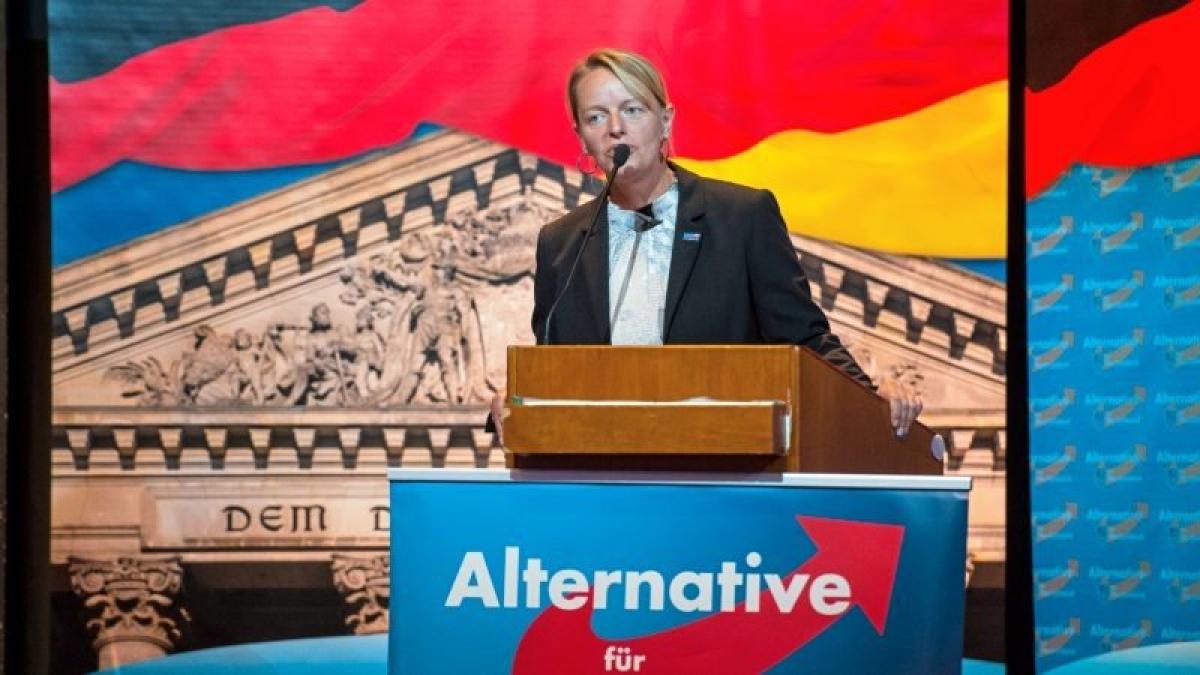 Zusammenfassung: Wahlprogramm der AfD zur Landtagswahl 2017