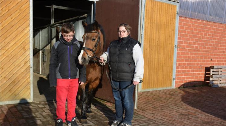 Einigung im Bippener Boxenstreit nicht in