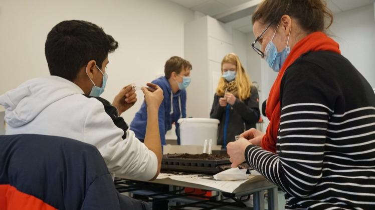 Schule Altstadt lehrt mit Schülerfirma praktischen Klimaschutz