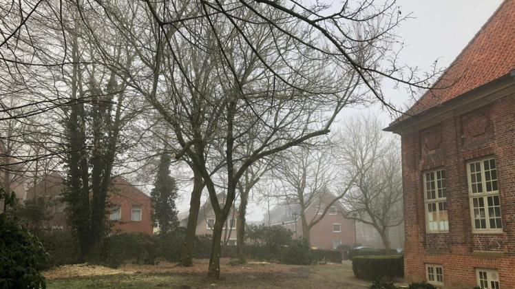 Bauhof Wilster: Extremer Orkan-Winter bringt viel Arbeit